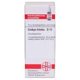 DHU-Arzneimittel Ginkgo Biloba D 12 Globuli 10 g