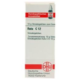 DHU-Arzneimittel Ruta C 12 Globuli 10 g