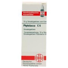 DHU-Arzneimittel Phytolacca C 6 Globuli 10 g
