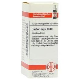 DHU-Arzneimittel Castor equi C 30 Globuli 10 g
