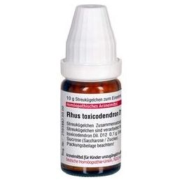 DHU-Arzneimittel Rhus Toxicodendron D 12 Globuli 10 g