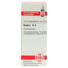 DHU-Arzneimittel Ambra D 4 Globuli 10 g
