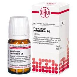 DHU-Arzneimittel Eupatorium Perfoliatum D 6 Tabletten 80 St