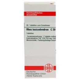 DHU-Arzneimittel Rhus Toxicodendron C 30 Tabletten 80 St
