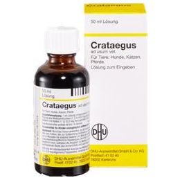 DHU-Arzneimittel Crataegus Dilution vet. 50 ml