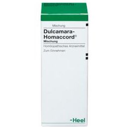 Heel Dulcamara Homaccord Tropfen 100 ml