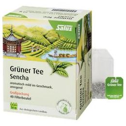 Grüner TEE Bio Salus Filterbeutel Großpackung 40 St