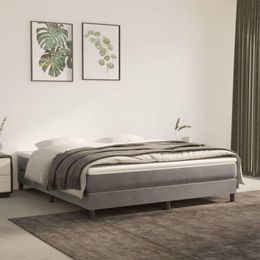 MAISONCHIC - Boxspringbett Doppelbett Bett für Schlafzimmer Hellgrau 180x200 cm Samt DE73474 - Grau