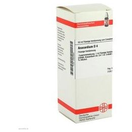 DHU-Arzneimittel Anacardium D 4 Dilution 50 ml