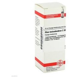 DHU-Arzneimittel Rhus Toxicodendron C 30 Dilution 20 ml