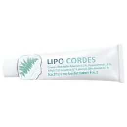 Lipo Cordes Creme 100 g