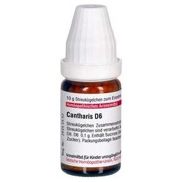 DHU-Arzneimittel Cantharis D 6 Globuli 10 g