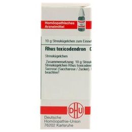 DHU-Arzneimittel Rhus Toxicodendron C 6 Globuli 10 g