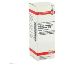 DHU-Arzneimittel Calcium Carbonicum Hahnemanni D 12 Dilution 20 ml