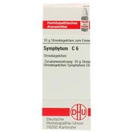 DHU-Arzneimittel Symphytum C 6 Globuli 10 g