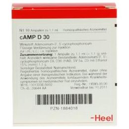 Heel Camp D 30 Ampullen 10 St