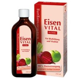 Hübner Eisen Vital flüssig 250 ml