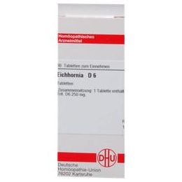 DHU-Arzneimittel Eichhornia D 6 Tabletten 80 St