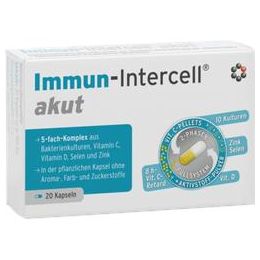 INTERCELL-Pharma GmbH Immun-Intercell akut Hartk.m.veränd.Wst.-Frs. 20 St