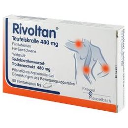 HERMES Arzneimittel Rivoltan Teufelskralle 480 mg Filmtabletten 50 St