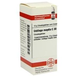 DHU-Arzneimittel Ustilago Maydis C 30 Globuli 10 g