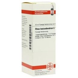 DHU-Arzneimittel Rhus Toxicodendron C 12 Dilution 20 ml