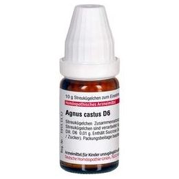 DHU-Arzneimittel Agnus Castus D 6 Globuli 10 g