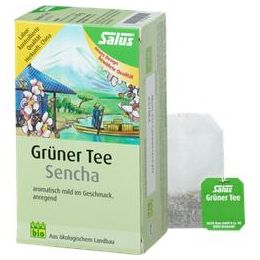 Grüner TEE Bio Salus Filterbeutel 15 St