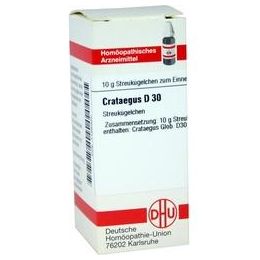 DHU-Arzneimittel Crataegus D 30 Globuli 10 g