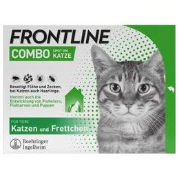 Frontline Combo Spot on Katze 6 St