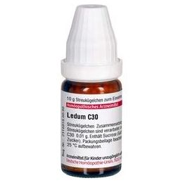 DHU-Arzneimittel Ledum C 30 Globuli 10 g