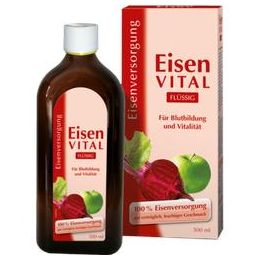 Hübner Eisen Vital flüssig 500 ml