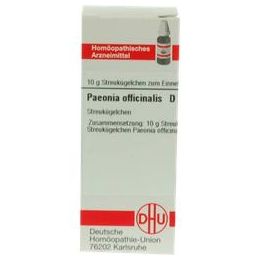 DHU-Arzneimittel Paeonia Officinalis D 6 Globuli 10 g