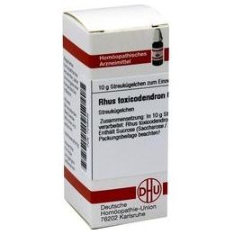 DHU-Arzneimittel Rhus Toxicodendron C 5 Globuli 10 g