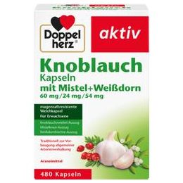 Queisser Doppelherz Knobl.Kap.m.Mistel+Weißdorn 60/24/54 mg 480 St