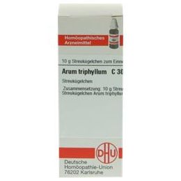 DHU-Arzneimittel Arum Triphyllum C 30 Globuli 10 g