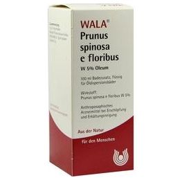 Dr. Hauschka Prunus Spinosa E floribus W5% Oleum 100 ml