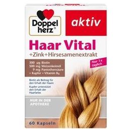 Queisser Doppelherz Haar Vital+Zink+Hirseextrakt Kapseln 60 St