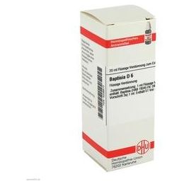 DHU-Arzneimittel Baptisia D 6 Dilution 20 ml