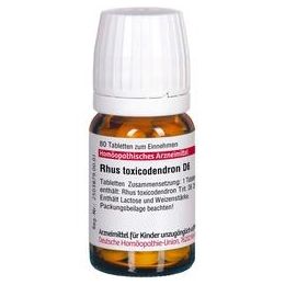 DHU-Arzneimittel Rhus Toxicodendron D 6 Tabletten 80 St