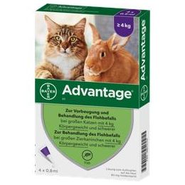 Advantage 80 mg f.gr.Katzen u.gr.Zierkaninchen 4X0.8 ml