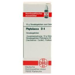 DHU-Arzneimittel Phytolacca D 4 Globuli 10 g