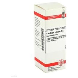 DHU-Arzneimittel Corallium Rubrum D 6 Dilution 20 ml