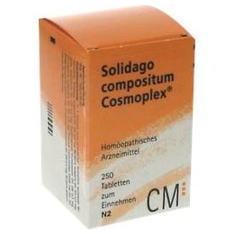 Heel Solidago Compositum Cosmoplex Tabletten 250 St