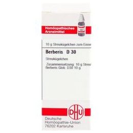 DHU-Arzneimittel Berberis D 30 Globuli 10 g