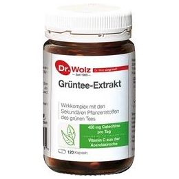 Dr. Wolz Zell GmbH Grüntee Extrakt Dr.Wolz Kapseln 120 St