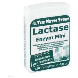 Hirundo Lactase 5.000 FCC Enzym Mini Tabl.im Dosierspender 120 St
