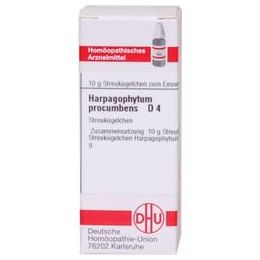 DHU-Arzneimittel Harpagophytum Procumbens D 4 Globuli 10 g