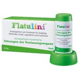 Heel Flatulini Globuli 2 g