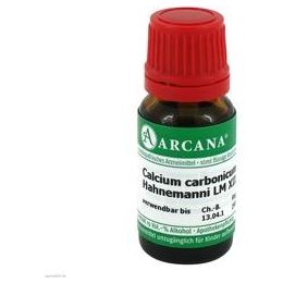 ARCANA Calcium Carbonicum Hahnemanni LM 12 Dilution 10 ml